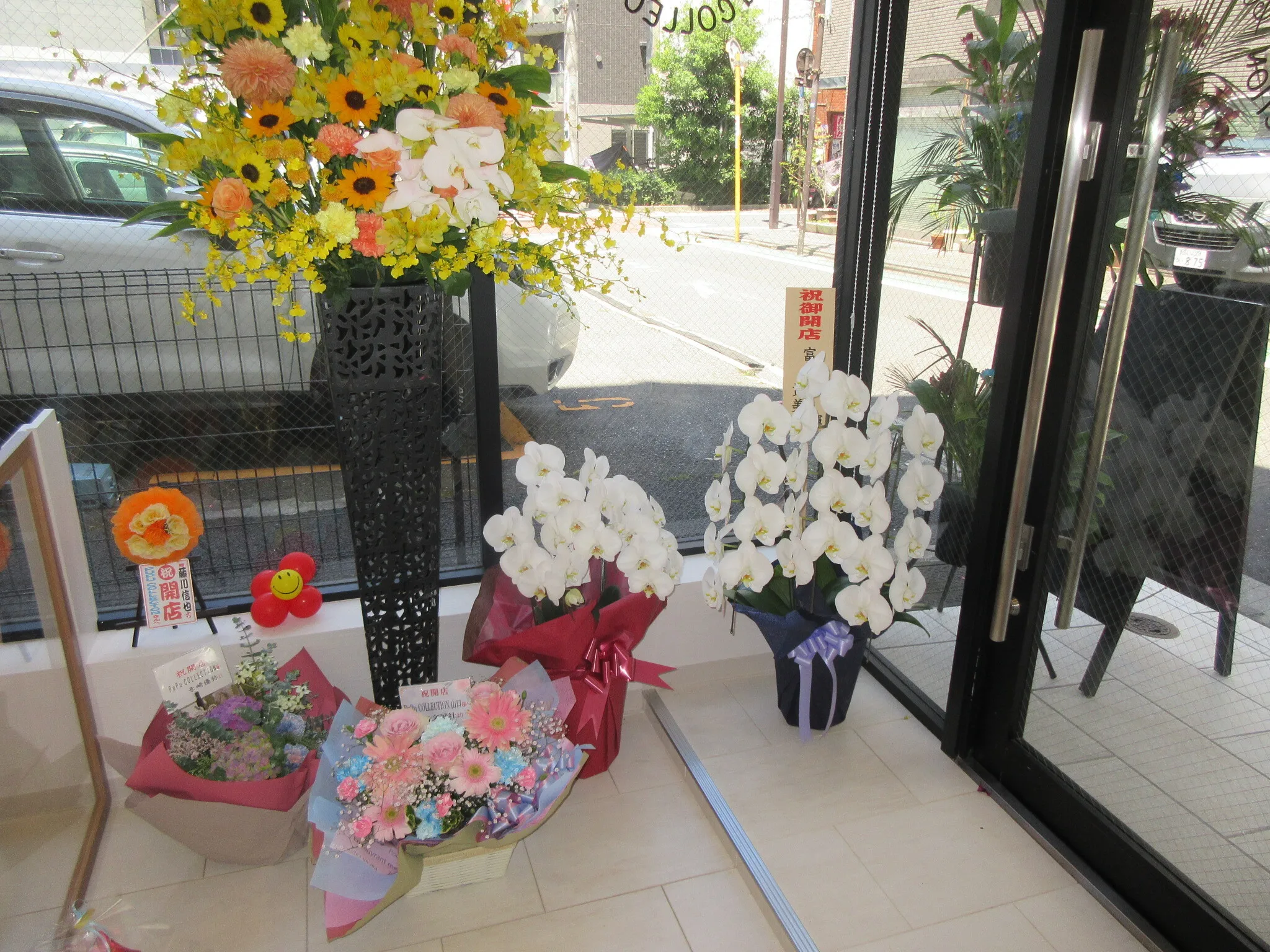 運営企業情報 | 【公式】PuPu COLLECTION｜港区のトリミングサロン