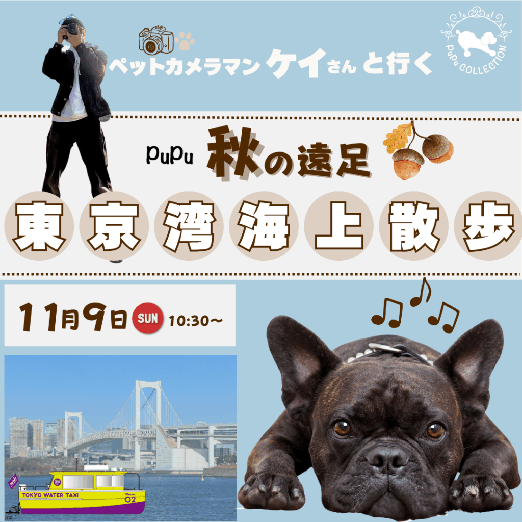 【公式】PuPu COLLECTION - 東京都港区のトリミングサロン