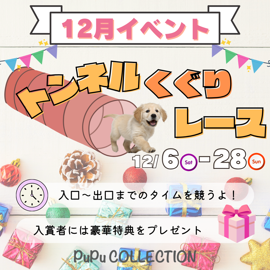 【公式】PuPu COLLECTION - 東京都港区のトリミングサロン