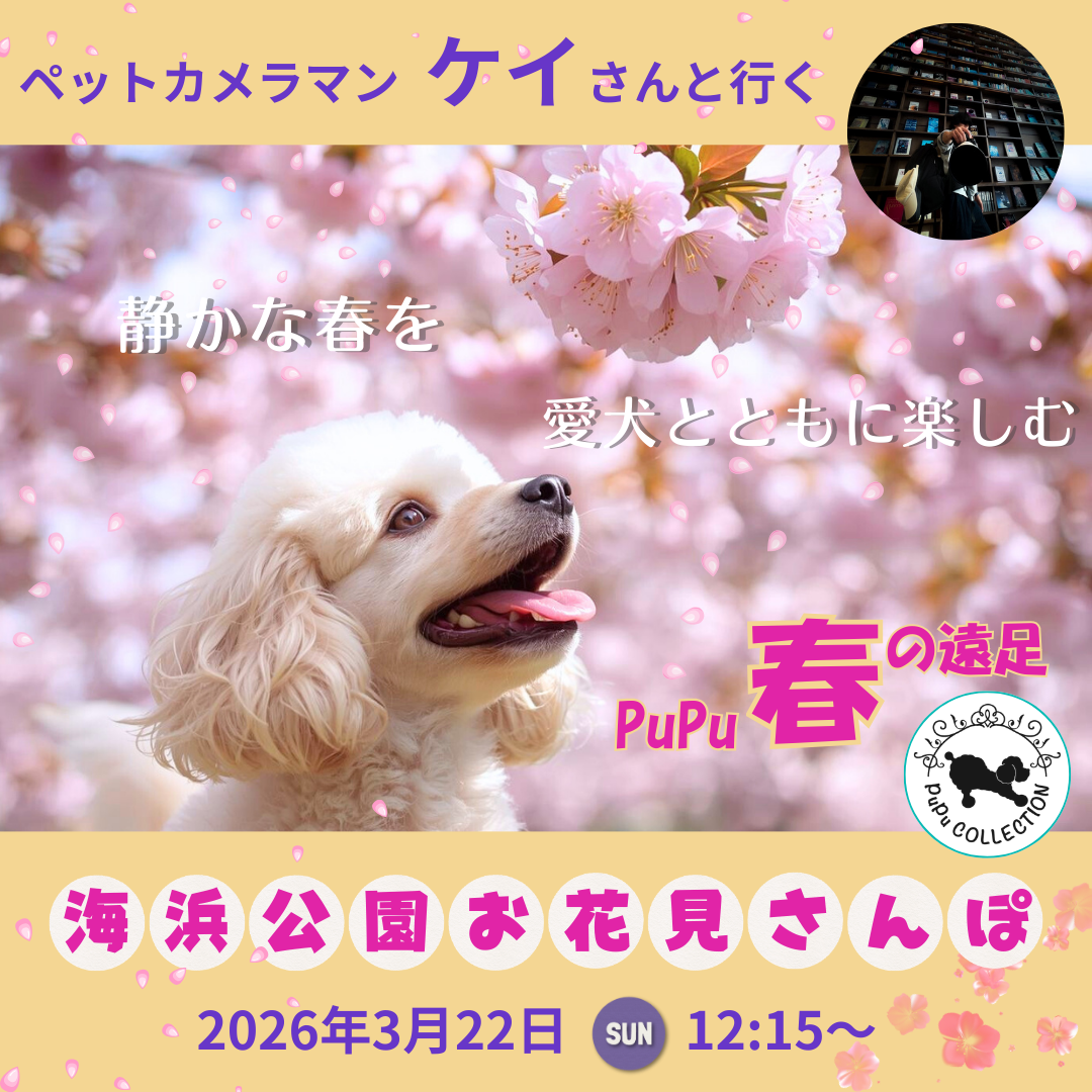【公式】PuPu COLLECTION - 東京都港区のトリミングサロン